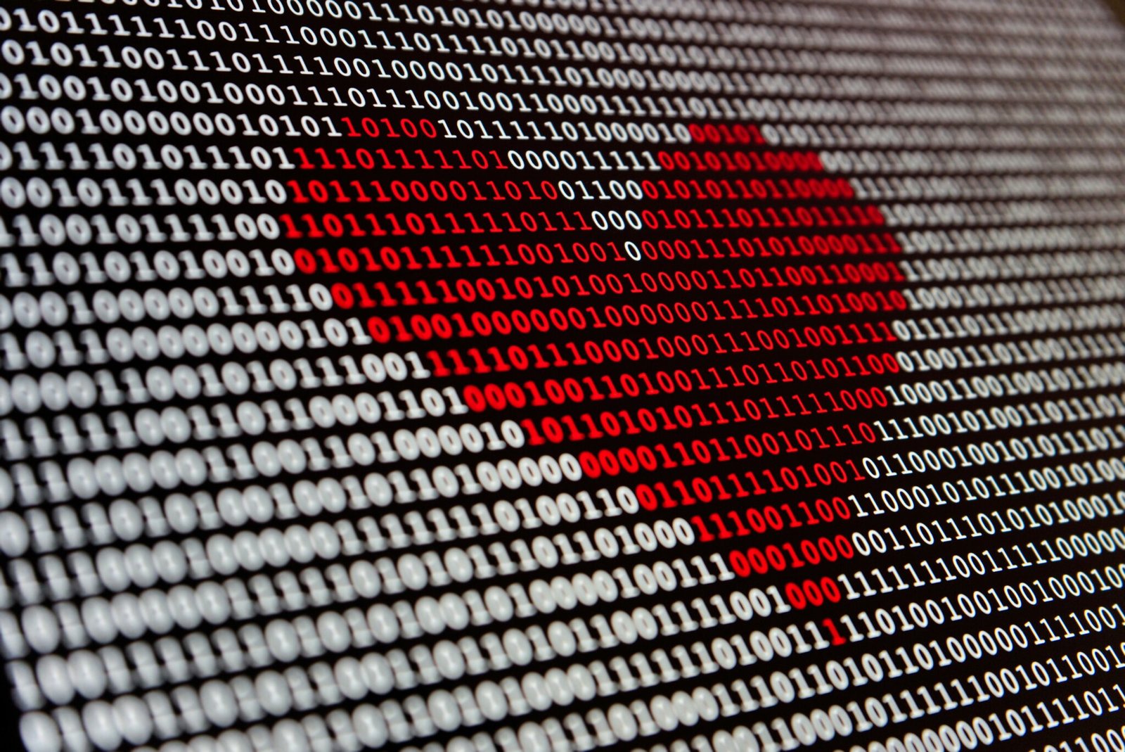 How Computers Understand Information: The Basics of Binary ...